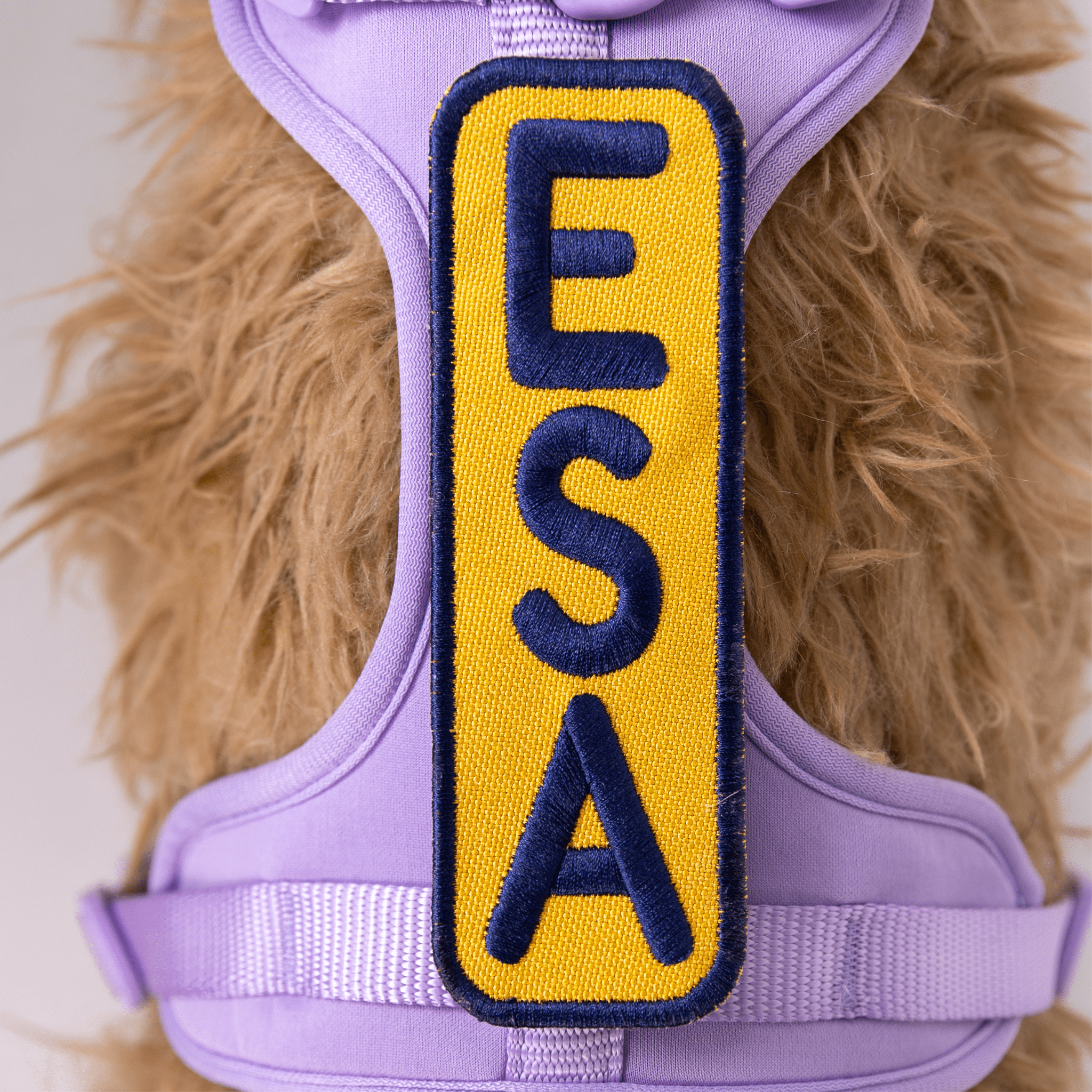 ESA 2x6 Patch – Wuforia