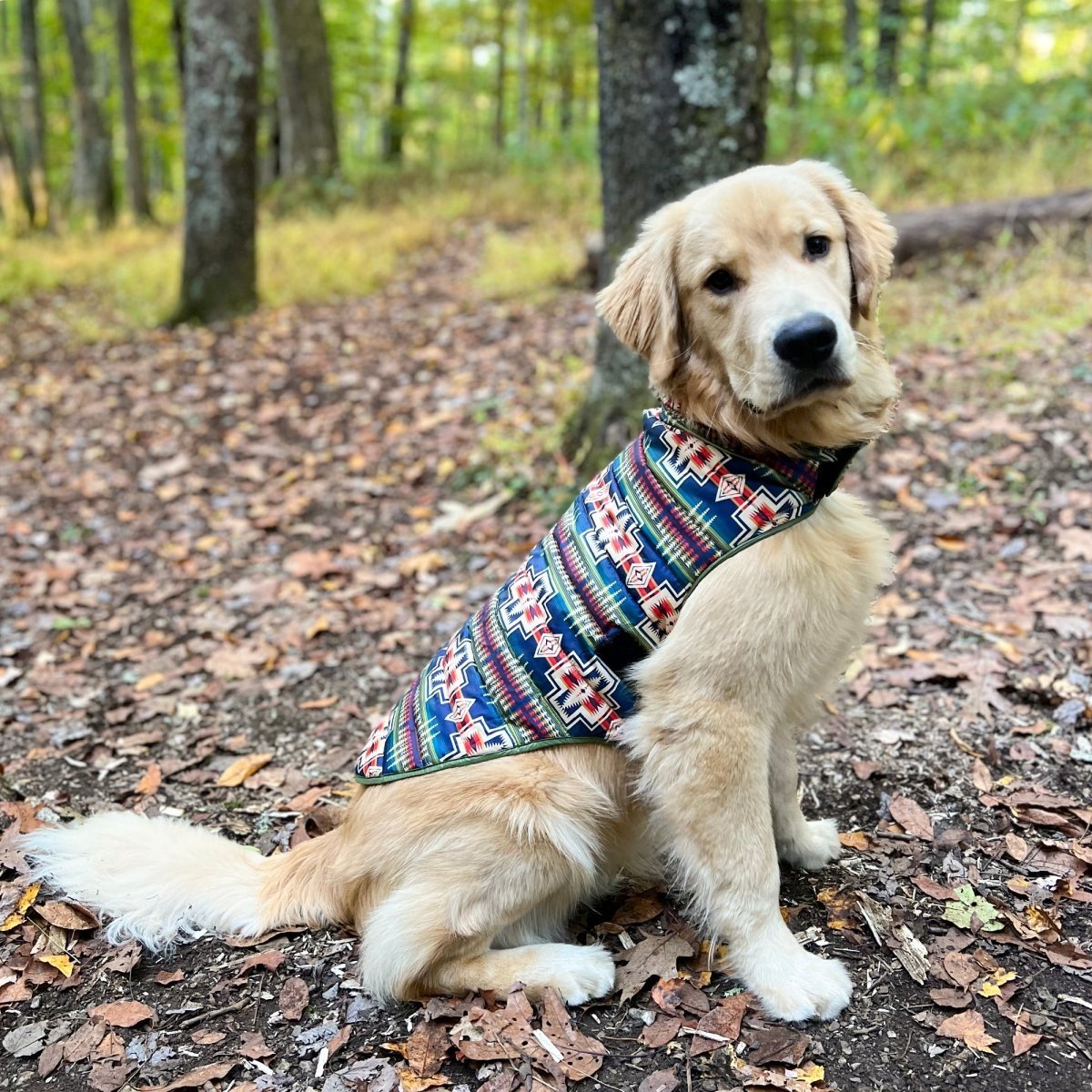 Pendleton Puffer Dog Coat – Wuforia