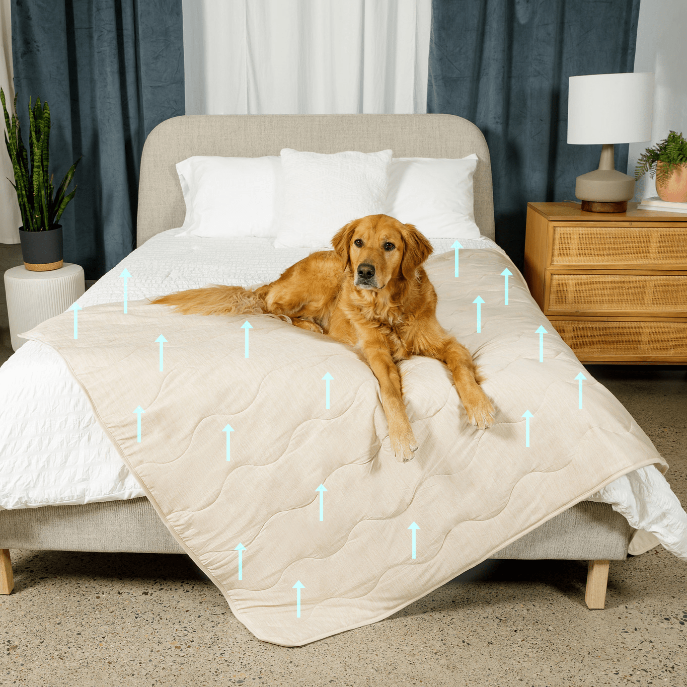 PupChill Cooling Waterproof Dog Blanket - Arctic Sand – Wuforia